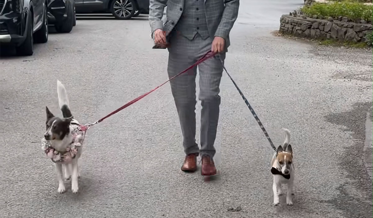 Roz Purcell is a vision in Irish design and wellies as she says I do ...