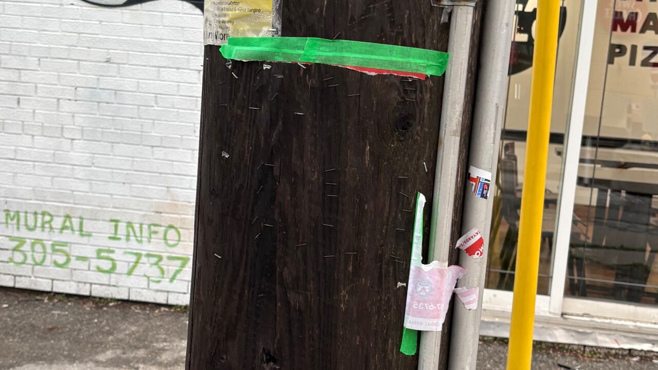 Posters of missing teen reportedly torn down as family announces $25K ...