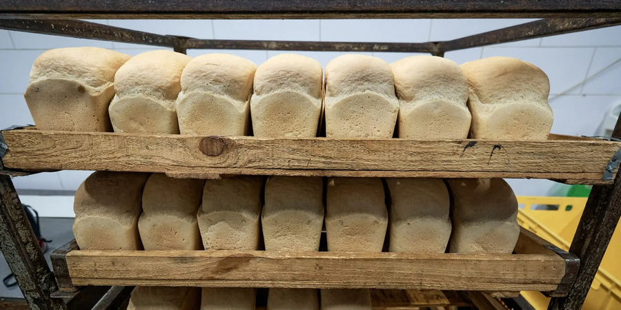 Ukrainian bread prices to rise 25% in 2026 as war drives up energy and ...