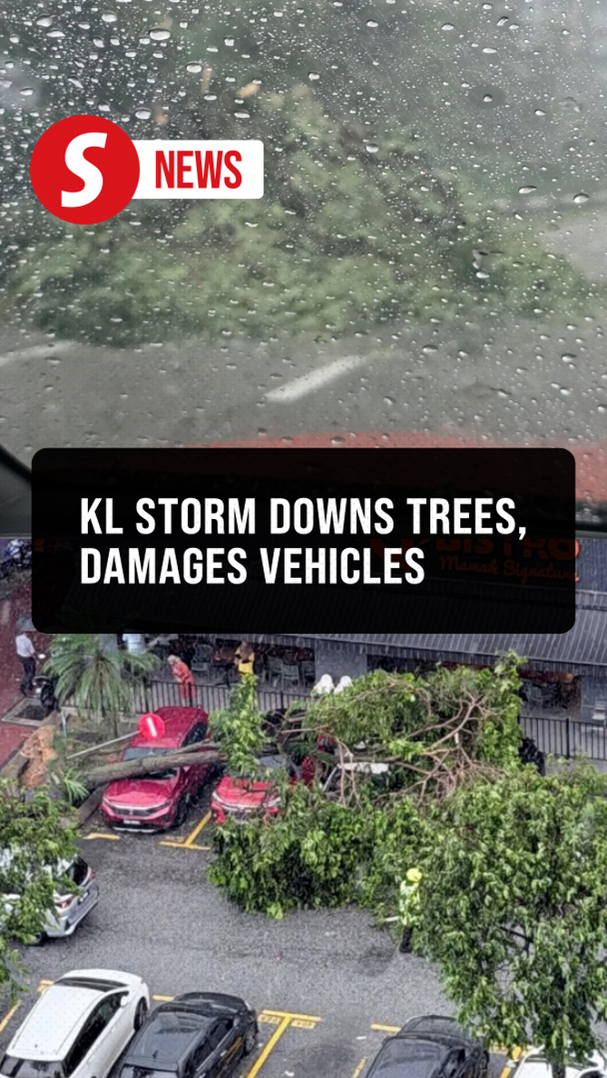 Five vehicles damaged by falling trees in KL storm