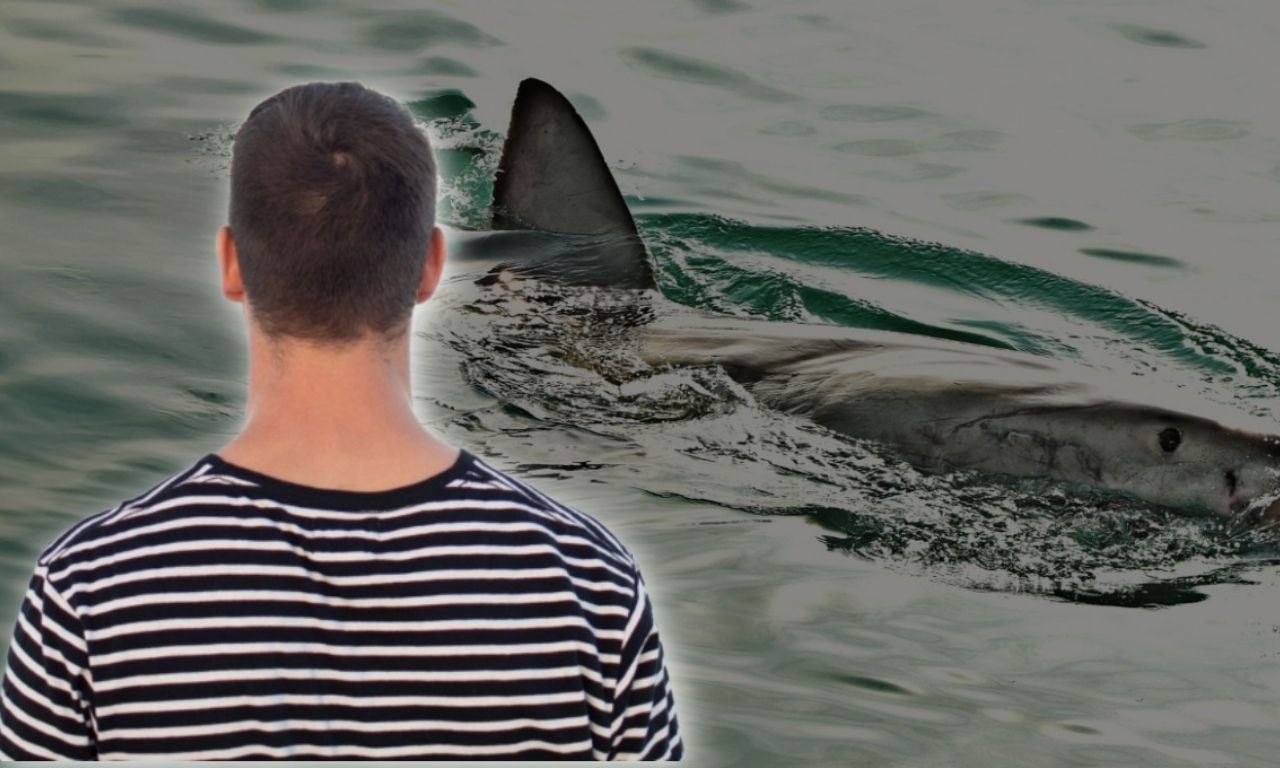 Tiburón ataca y mata a un hombre frente a decenas de turistas ...