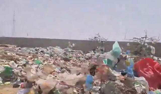 Outrage erupts over discovery of dead cows in Rajasthan dumping ground