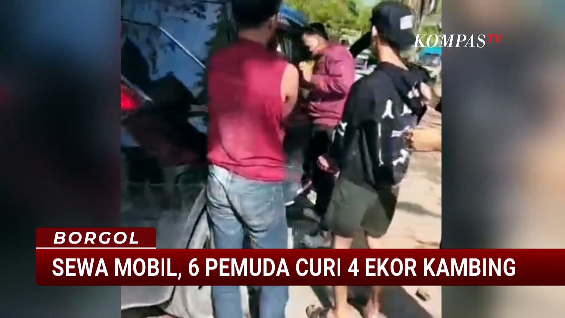 Polisi ringkus 6 pencuri kambing di Buton Tengah saat hendak kabur | BORGOL
