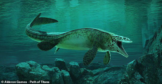There's a new T rex in town! New species of mosasaur measuring 43 feet ...