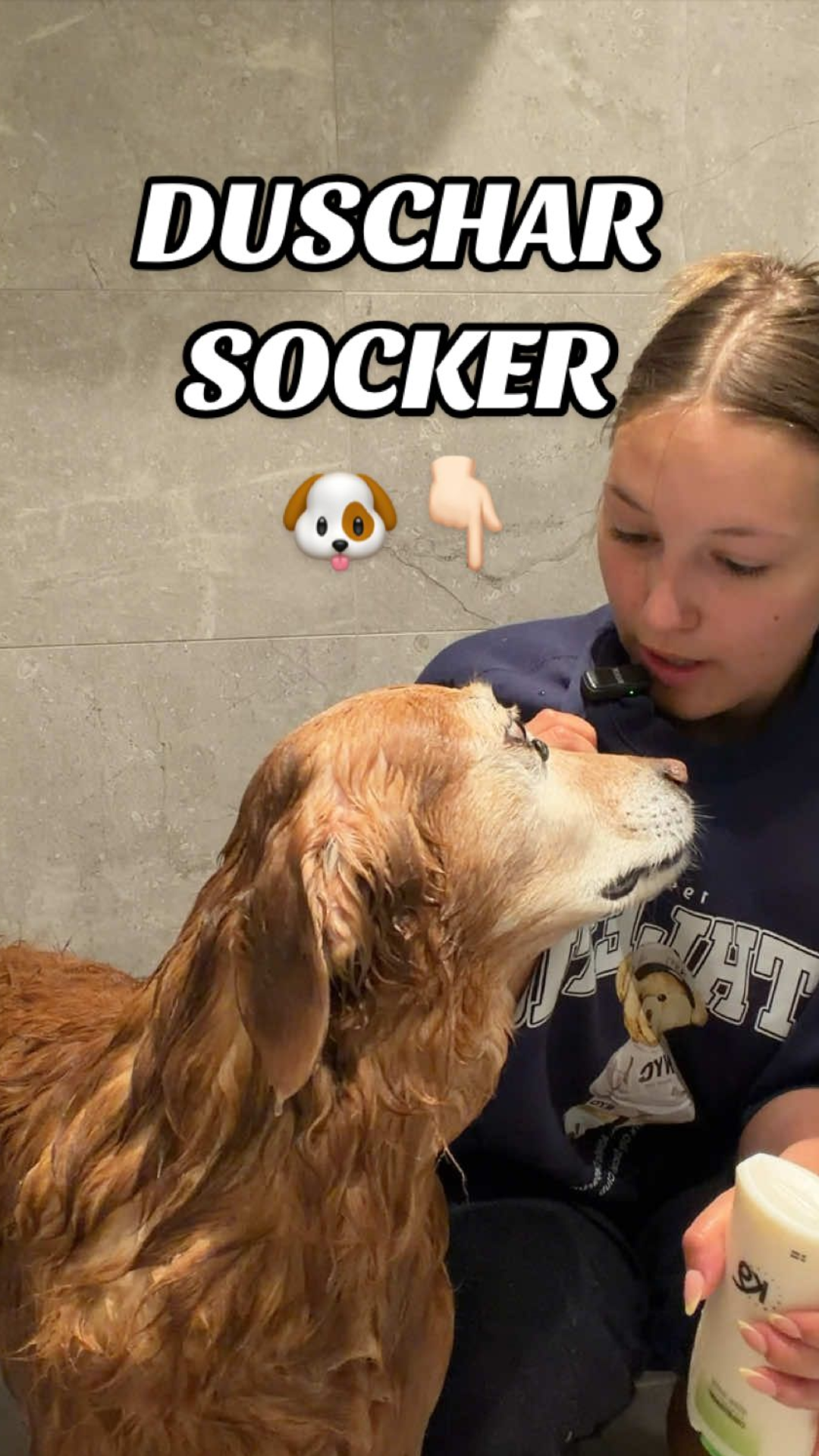 När hundar pratar som bebisar roliga golden retriever-ögonblick
