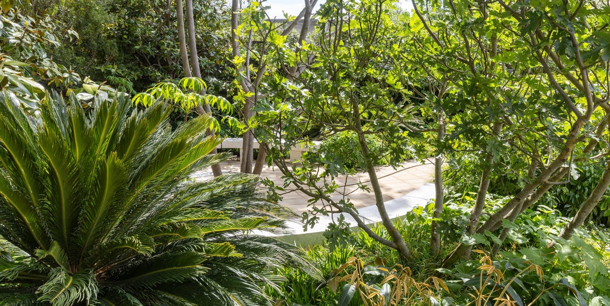 7 garden design rules to steal from Chelsea Flower Show