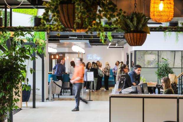 Bee House marks four years of business growth at Milton Park