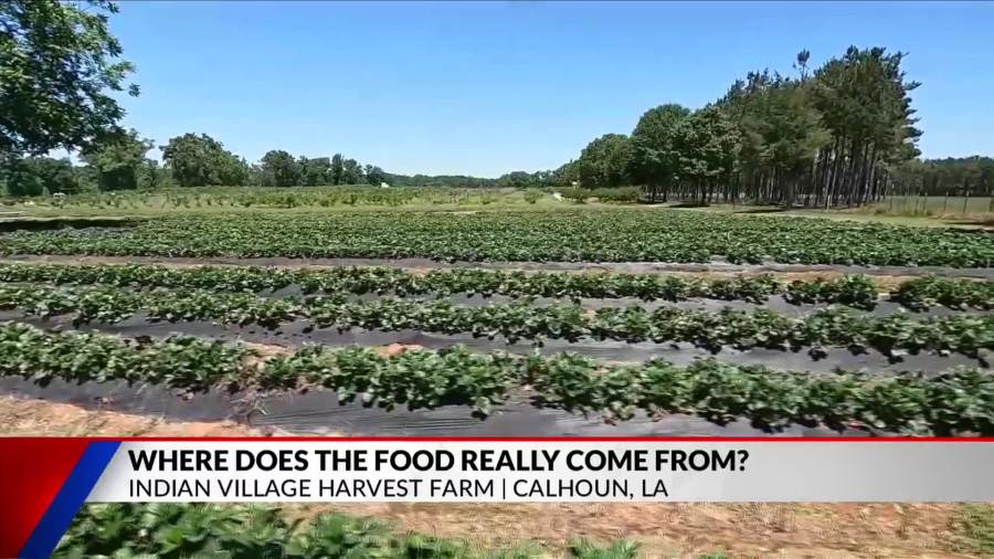 Stories that matter: Indian Village Harvest Farm