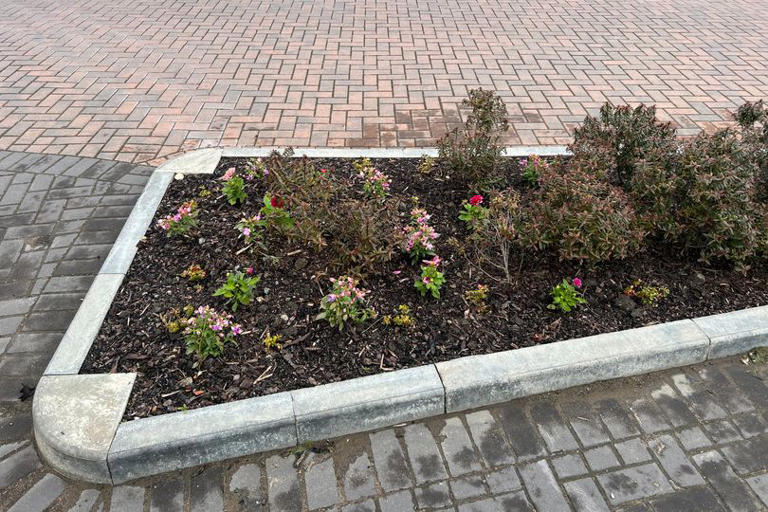 'Abandoned' West Lothian residents left with 'pile of mud and stones ...