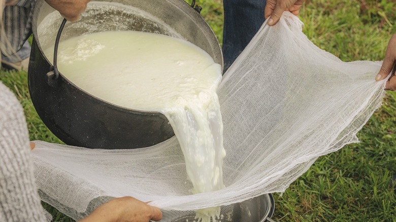Are 'curds and whey' just cottage cheese?