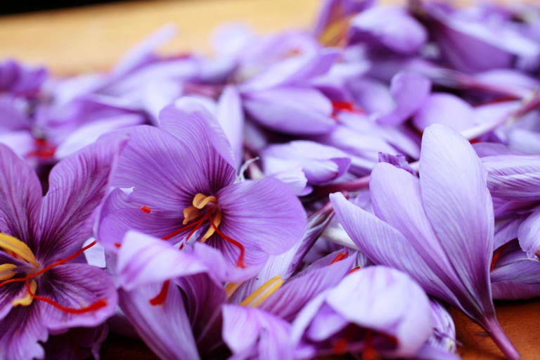 What is saffron, and why is it so expensive?