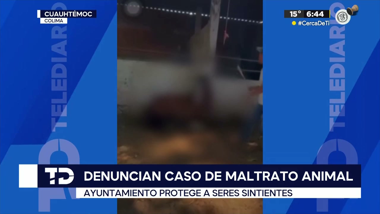 ¡Indignante! Fiscalía de Colima investiga caso de maltrato animal ...