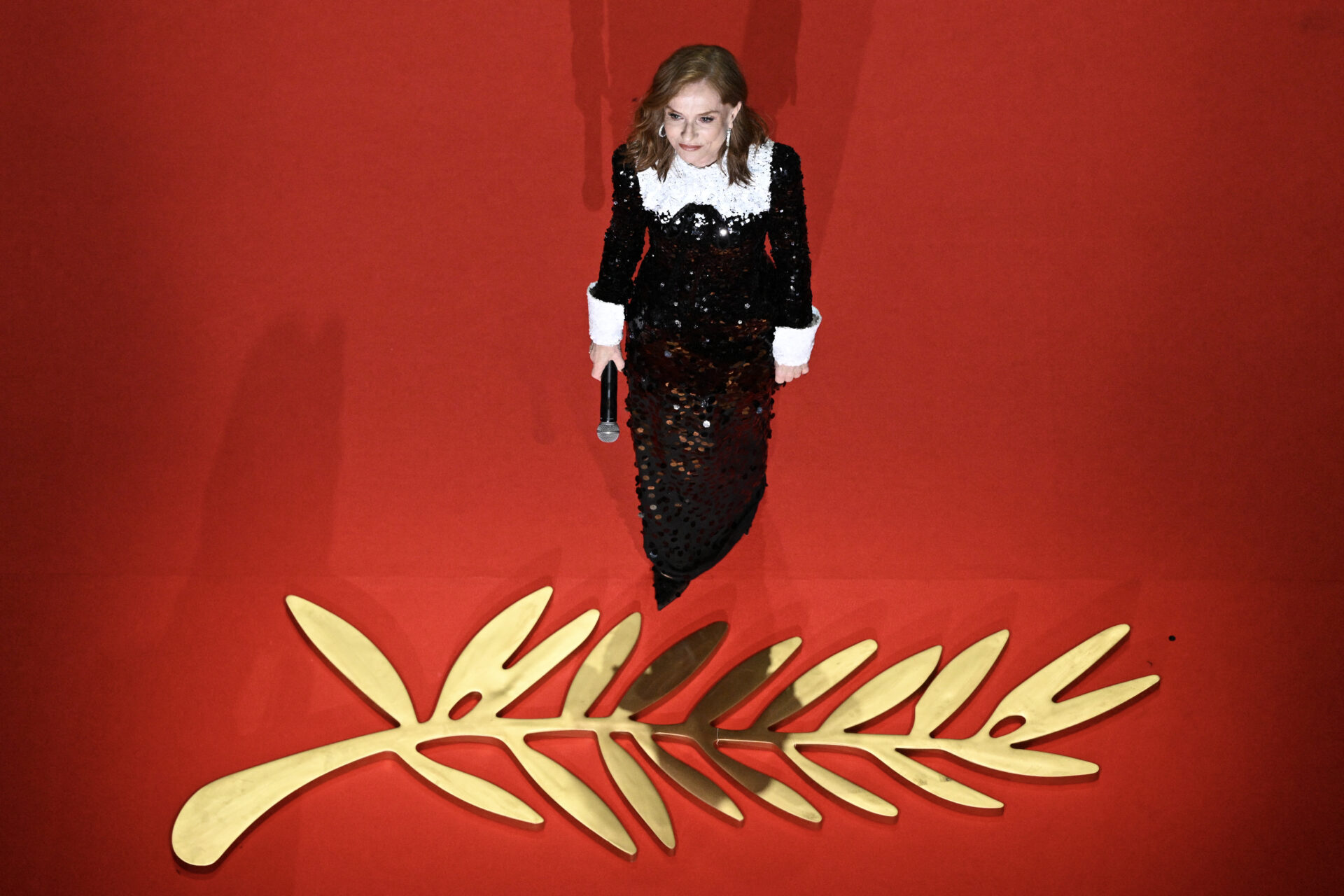Fin du festival de Cannes 2026 : les stars ont brillé sur le tapis rouge