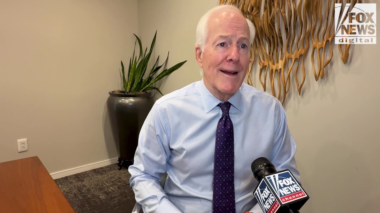 On eve of Republican Senate runoff election, GOP Sen. John Cornyn tells ...