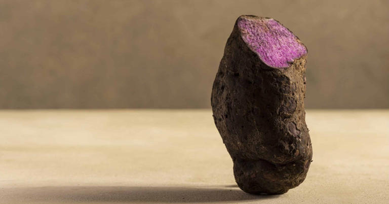 Ube is now the world’s next matcha. Now what?