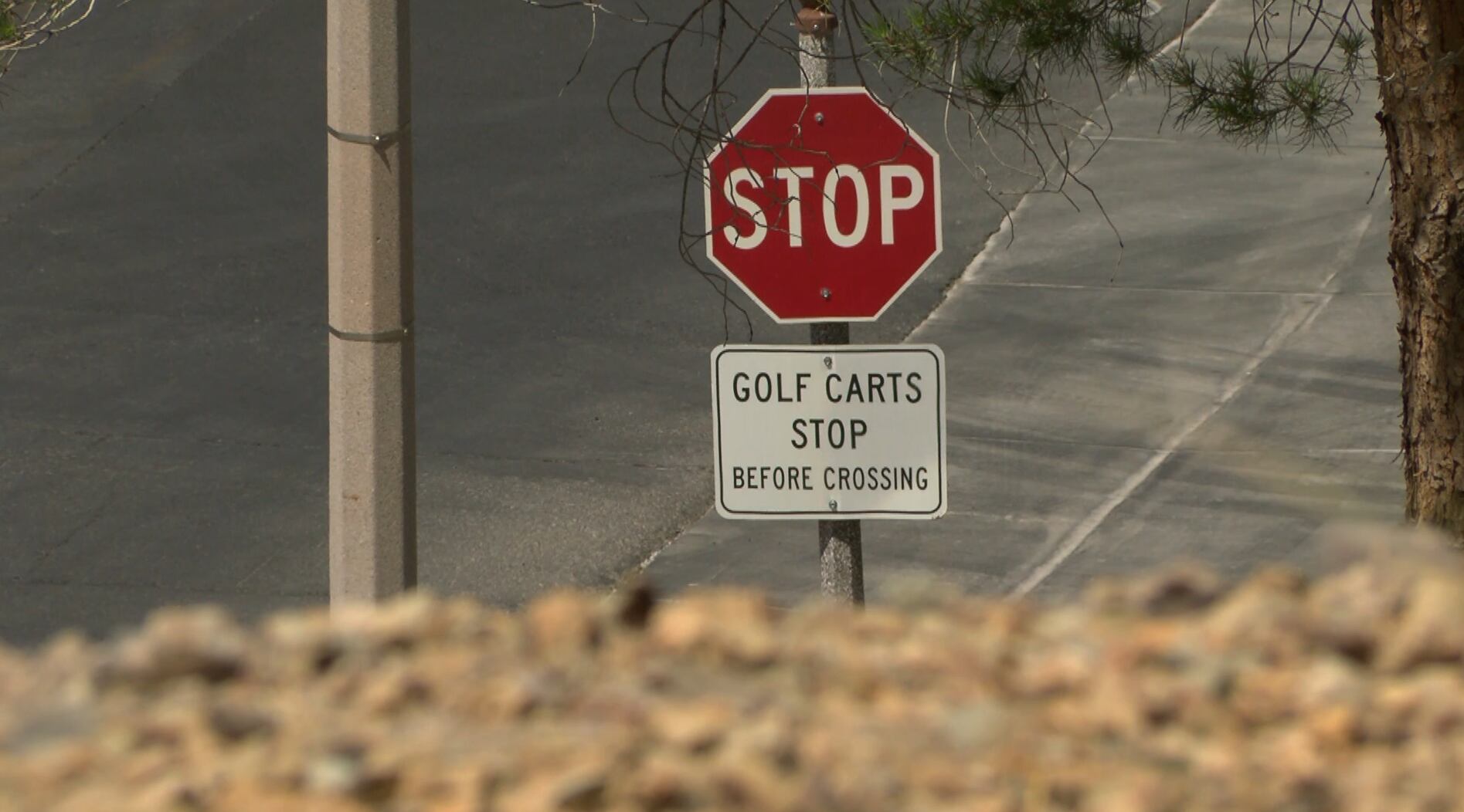 Driver arrested after striking several pedestrians with golf cart at ...
