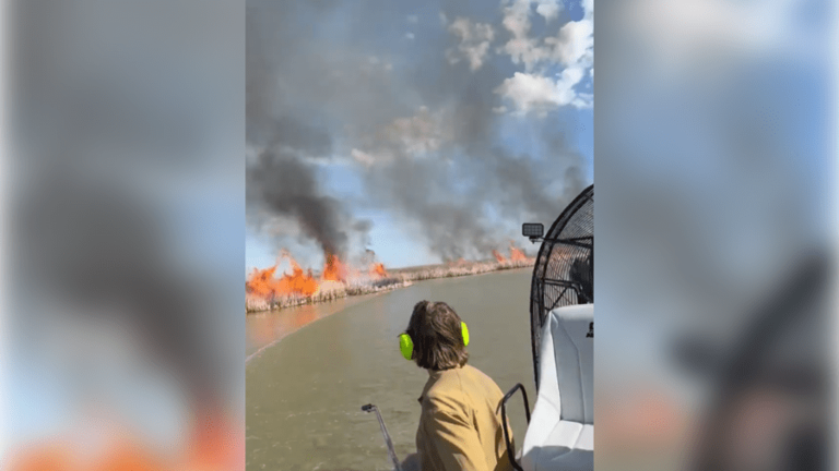 Utah FFSL conducting 1,500-acre prescribed burn near Farmington Bay