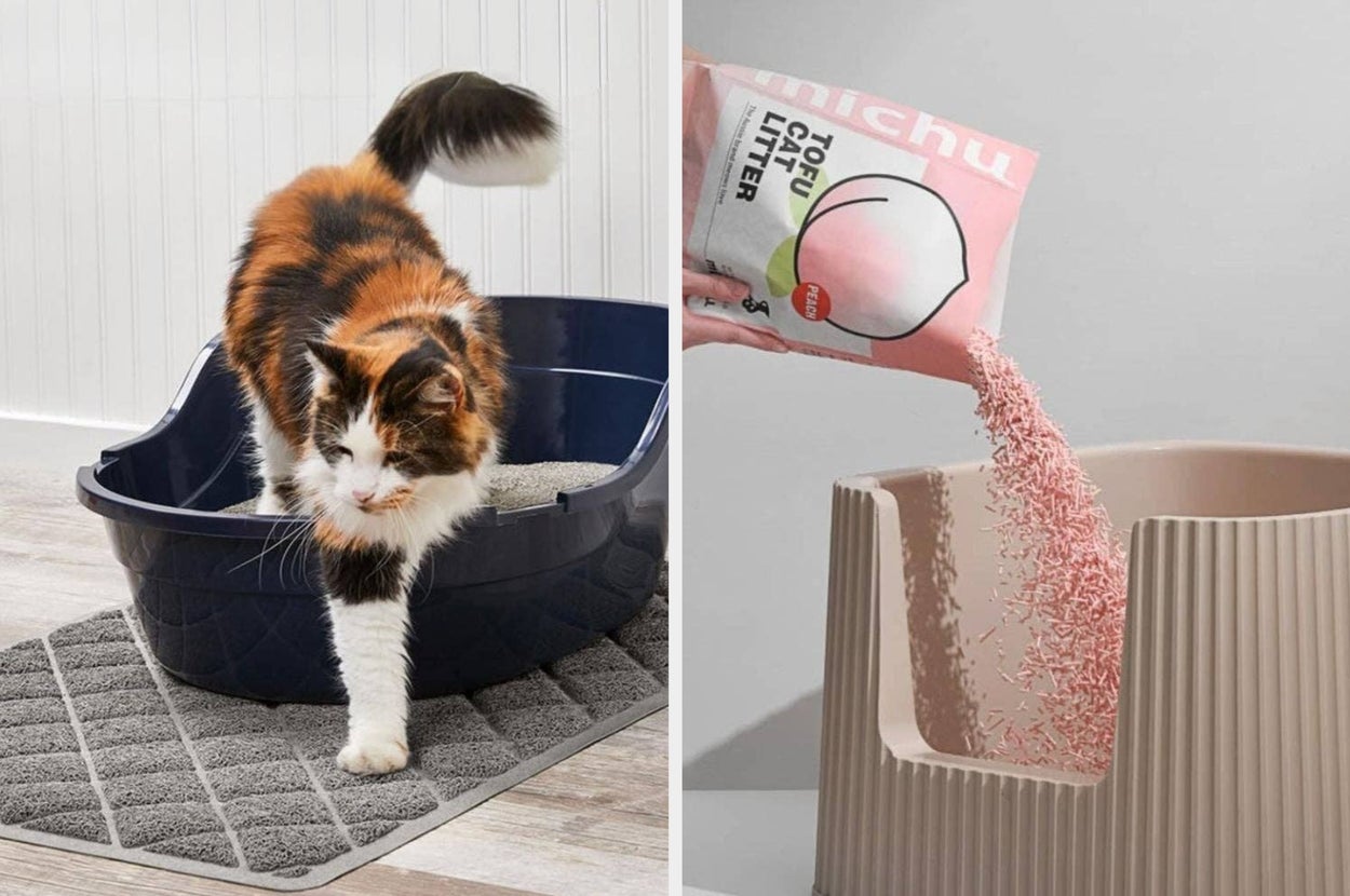 If your cat tracks litter mess all over the house, you need these 8 ...