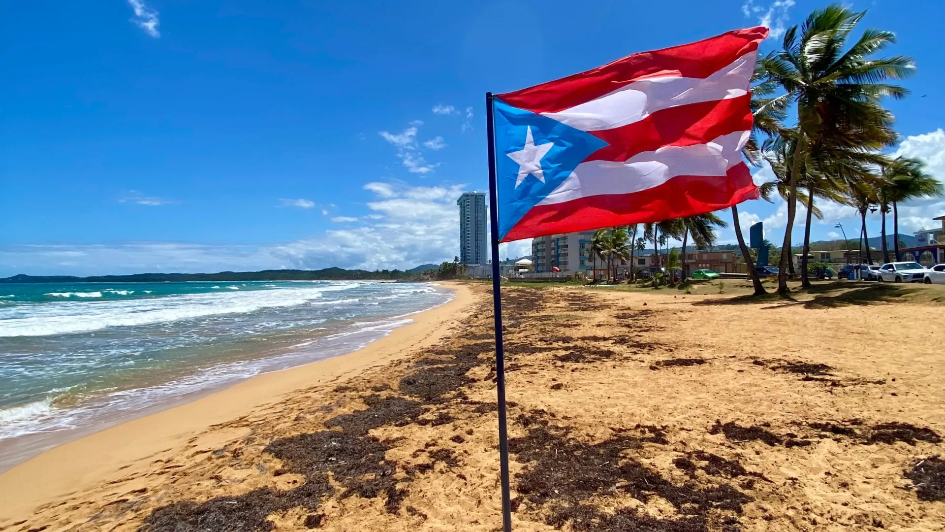"The Puerto Rico Song"? Está viral no TikTok (e foi criada por IA)