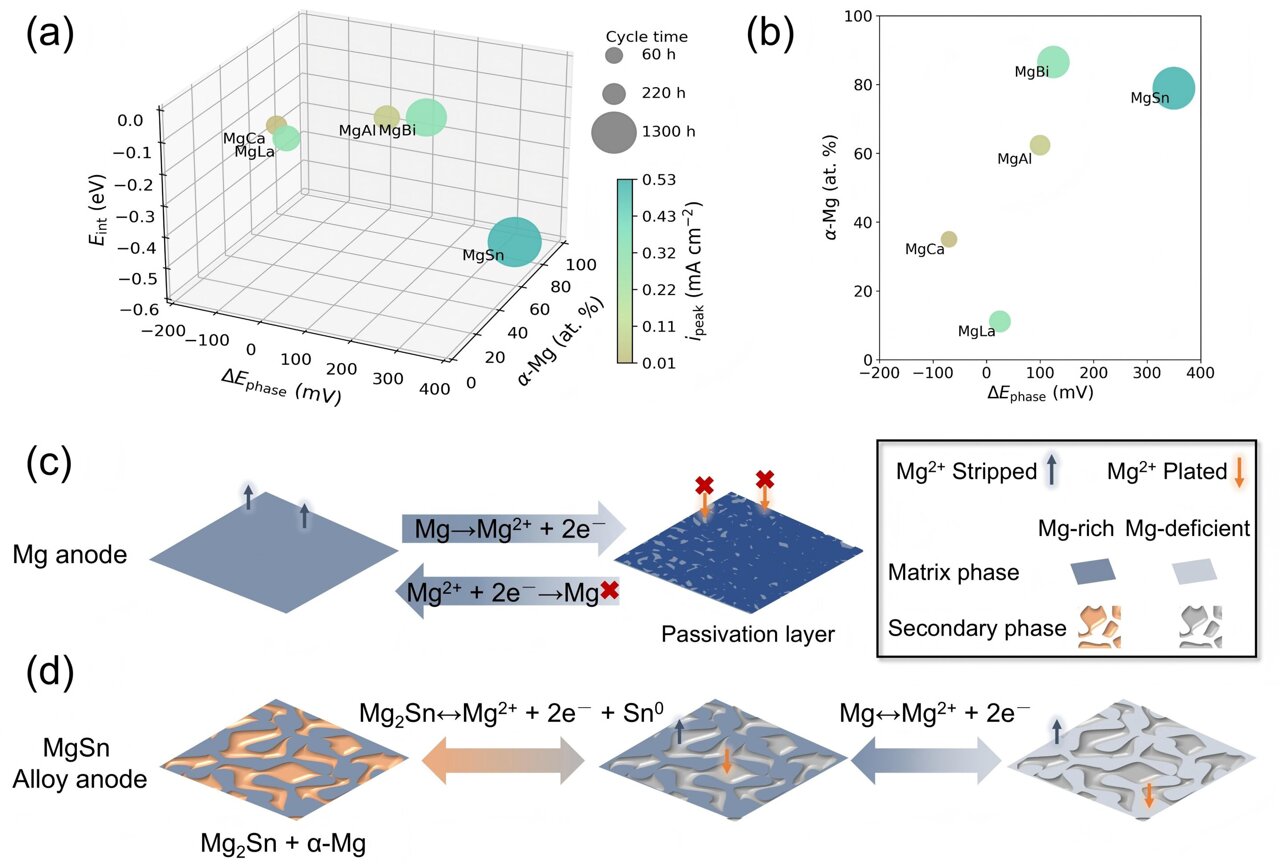 New magnesium alloy design improves stability and ion transport in ...
