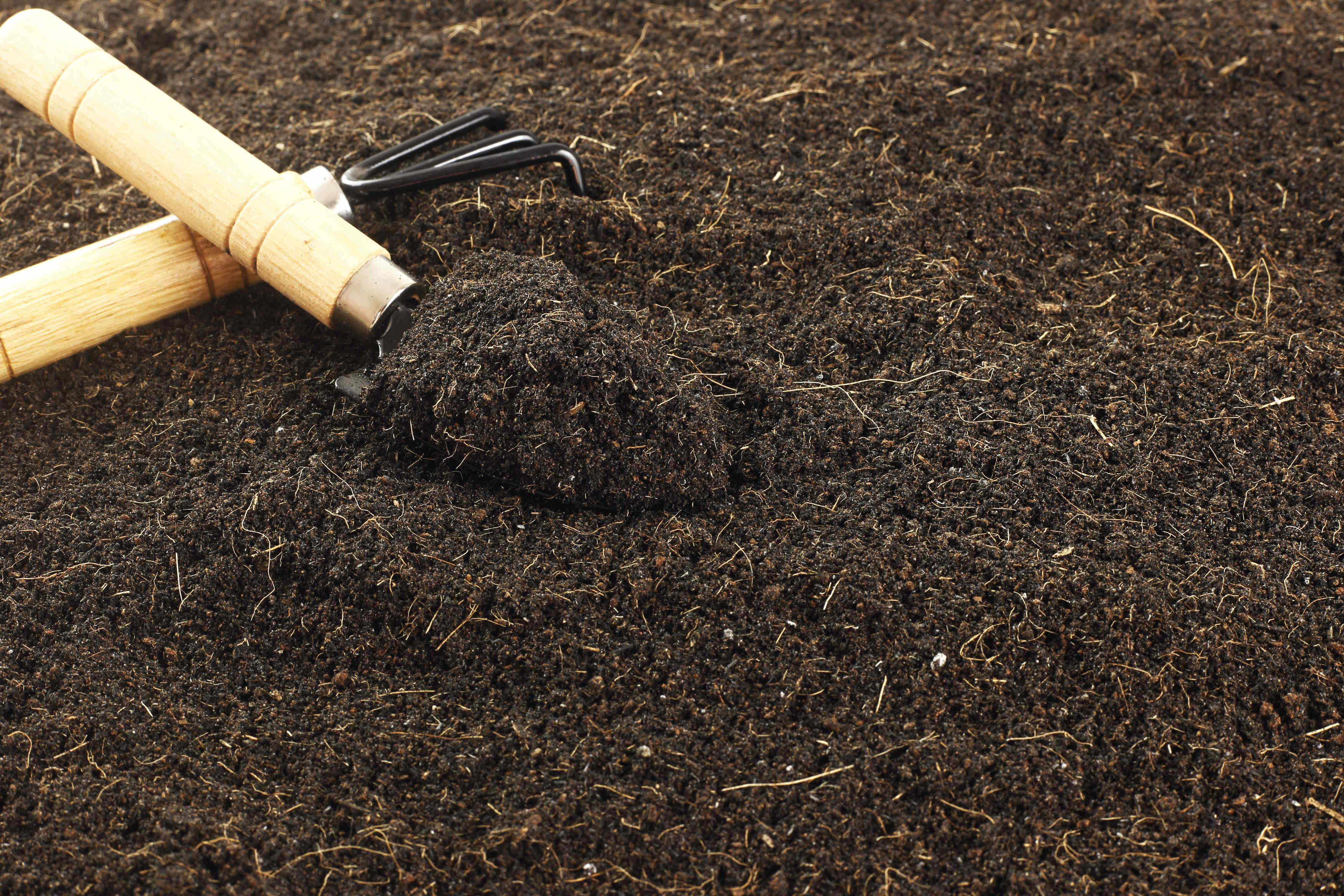 What is loamy soil? Why it's so beneficial and how to make it