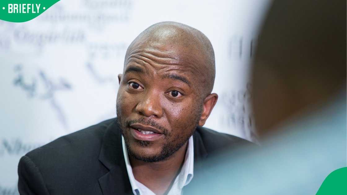 Mmusi Maimane criticises harassment of foreign nationals, BOSA leader ...