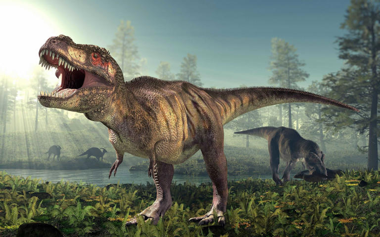 T rex's small arms may fit a 180-million-year pattern