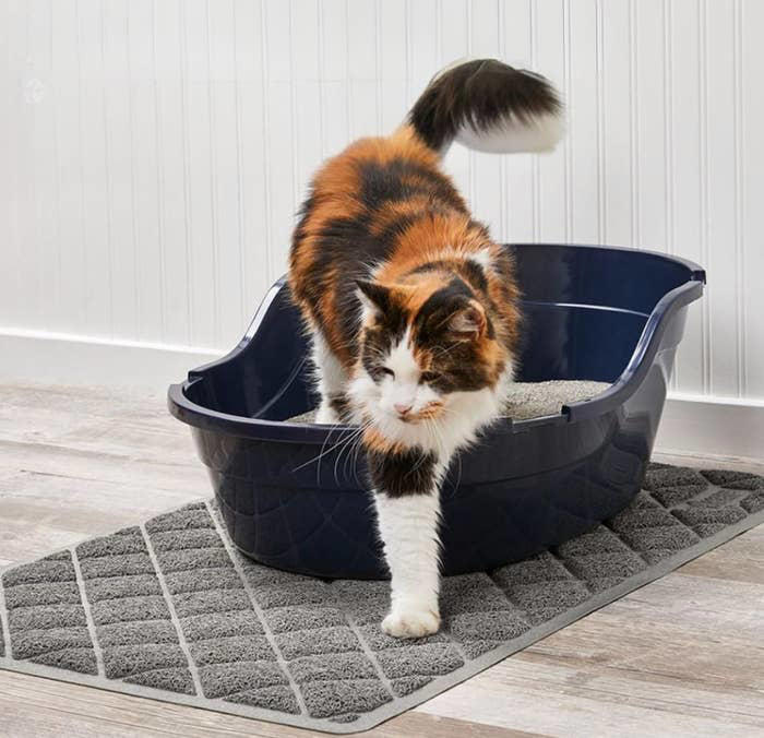 If your cat tracks litter mess all over the house, you need these 8 ...
