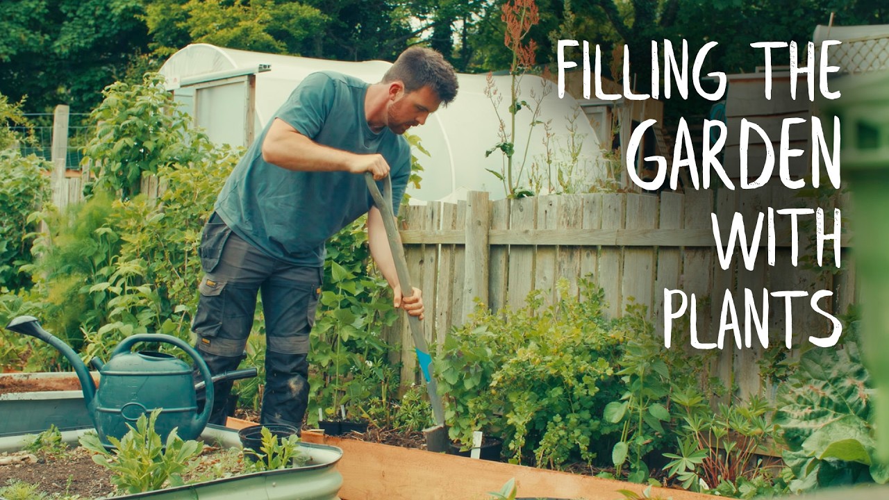 Planting productive borders & new mini garden project | Huw's garden diary