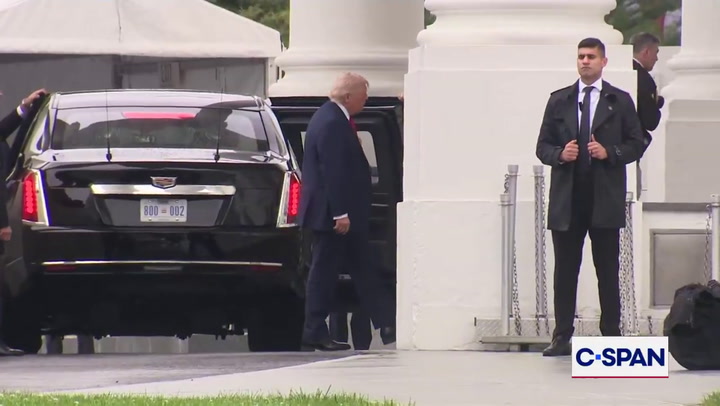 Trump doubles down on bizarre obsession with White House pillar