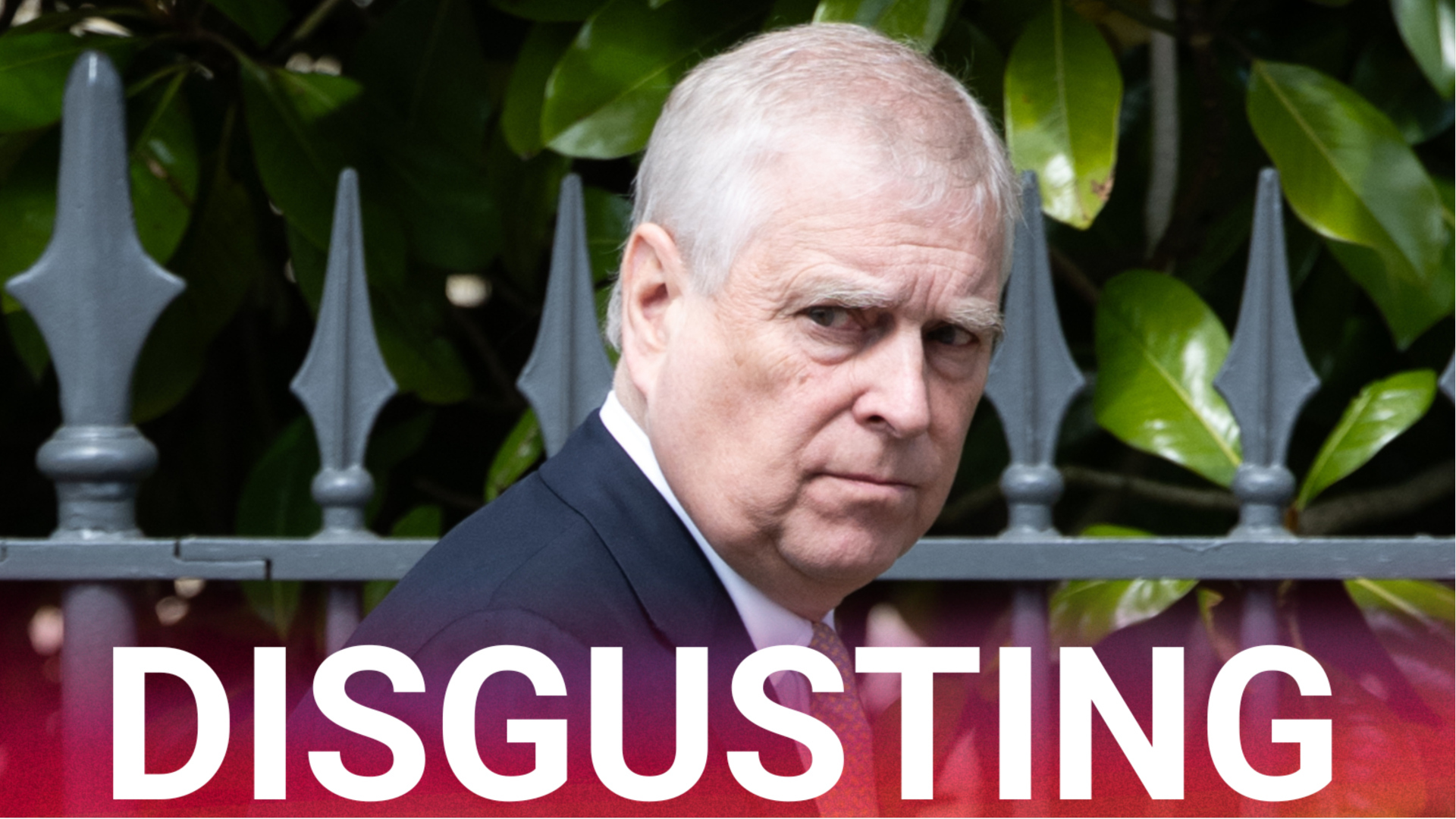 Royal author exposes disgraced ex-prince Andrew's alleged vulgar pick ...
