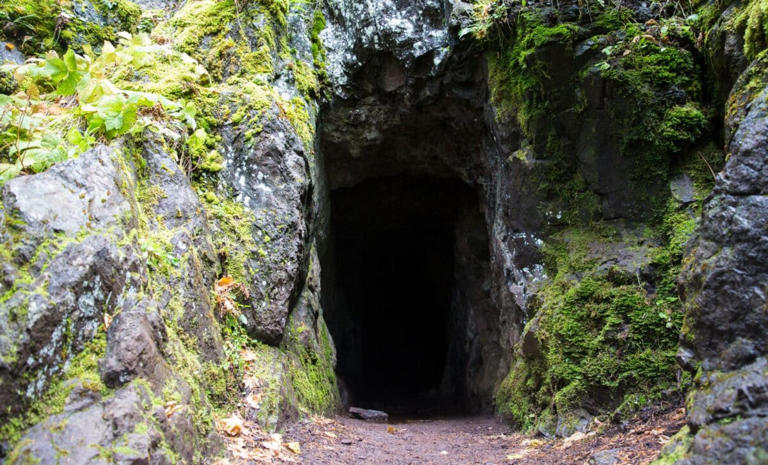 Scientists entered a New Zealand cave and uncovered 1 million-year-old ...