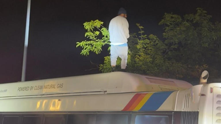 Man in distress atop Sonoma County Transit bus in Santa Rosa brought ...