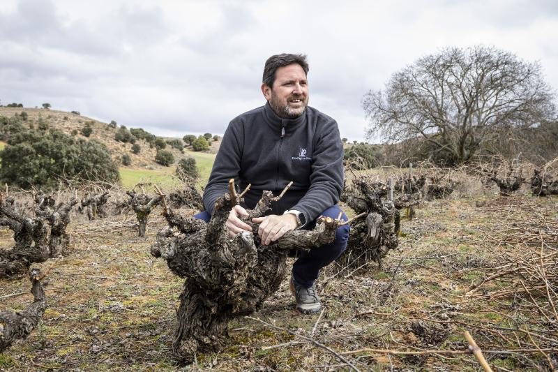 Bodegas Terraselecta lleva dos vinos de Soria al 'The Best of Spain ...