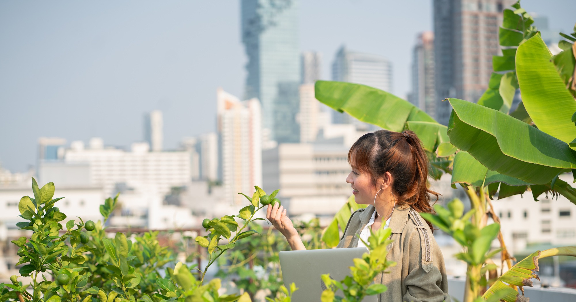 Solar-powered rooftop gardens a boon to warming MA cities