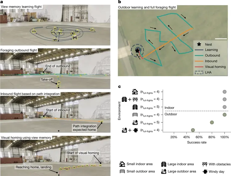 Bee-inspired navigation system lets tiny robots fly without GPS
