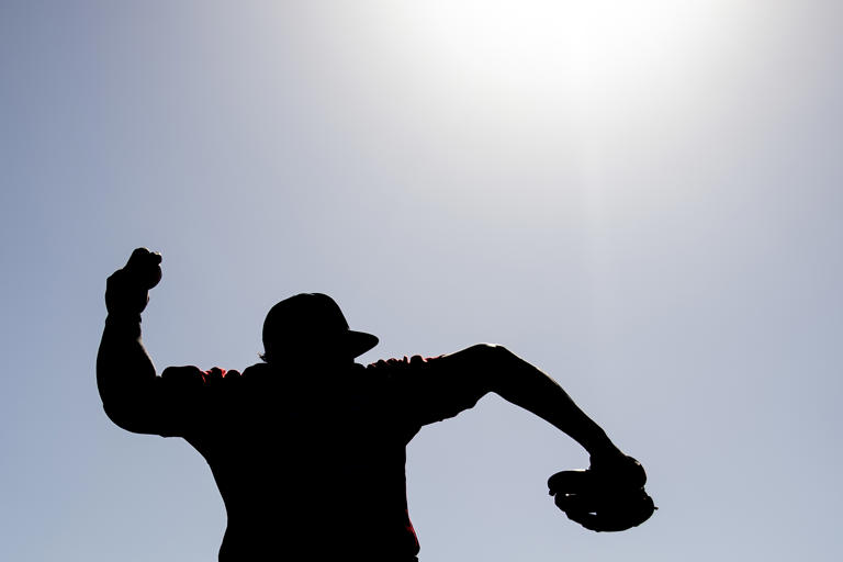 What a 29-2 score says about the state of low-level minor-league ...