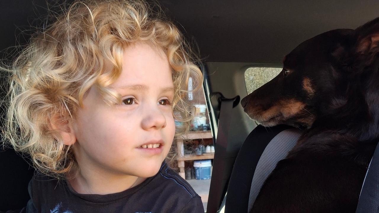 Why cops returned to property to find Gus