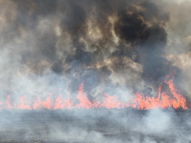 Utah FFSL conducting 1,500-acre prescribed burn near Farmington Bay
