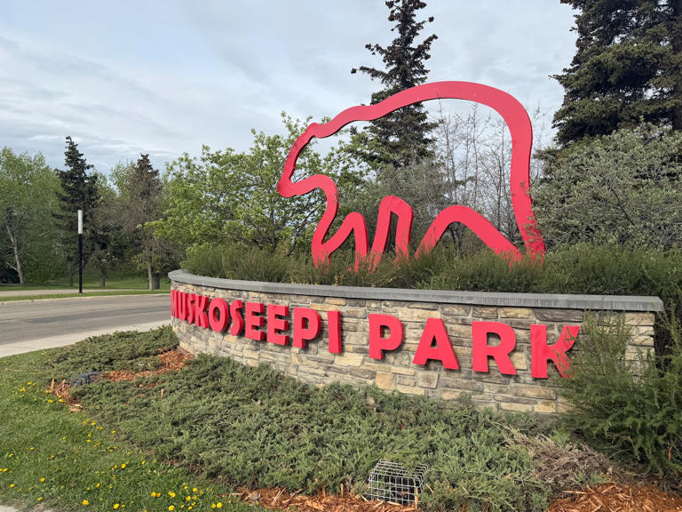 RCMP patrols increase near Grande Prairie park trails following random ...