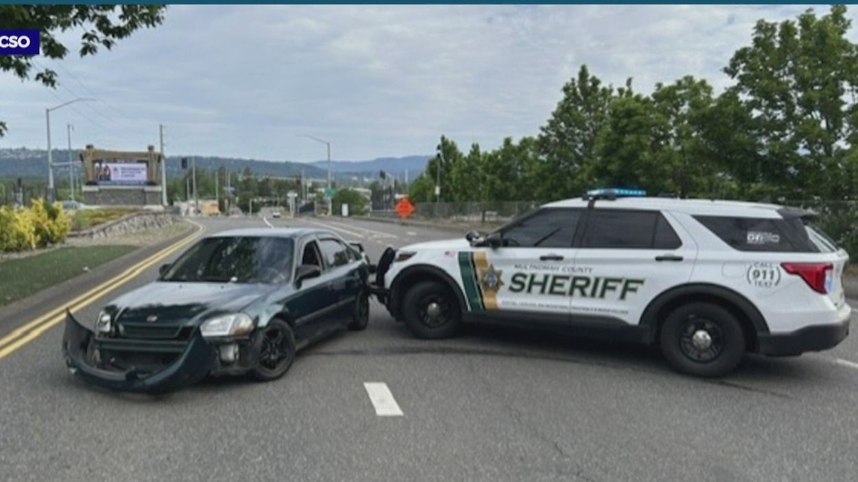 Driver arrested for ramming stolen car into patrol vehicle, fleeing ...