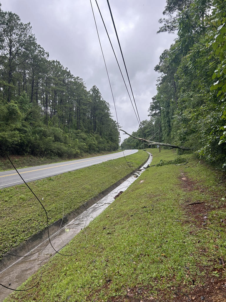 Update: Baldwin EMC says power outages along Highway 225 caused by tree ...