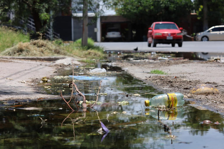 Simas Torreón atiende 76.5% de 356 reportes por fugas de agua en el mes ...