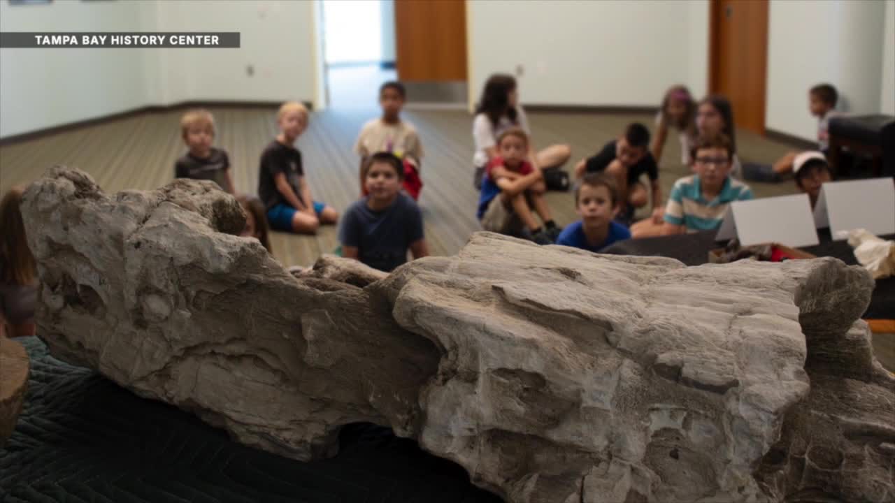 Tampa Bay History Center hosts summer camps for preteen archaeologists ...