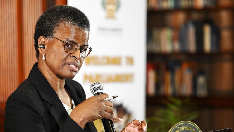 Masango calls for urgent reform of the Central Drug Authority