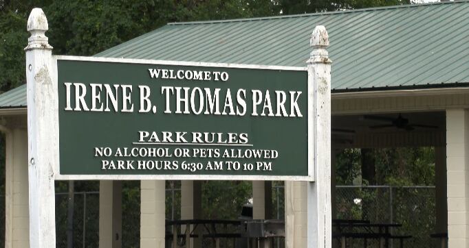 ‘I blame the parents’: Teen killed, another wounded in Hinesville park ...