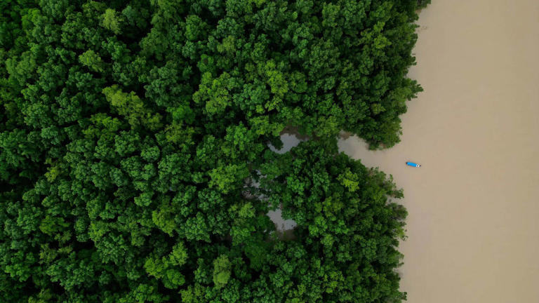 Brazil allocates $617.5 million for Amazon ecological investment initiative