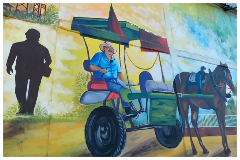 Colores que inspiran paz: “Memoria sembrada” se convierte en emblema de ...