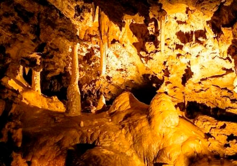 This half-mile Oregon trail takes you through a 250-million-year-old ...