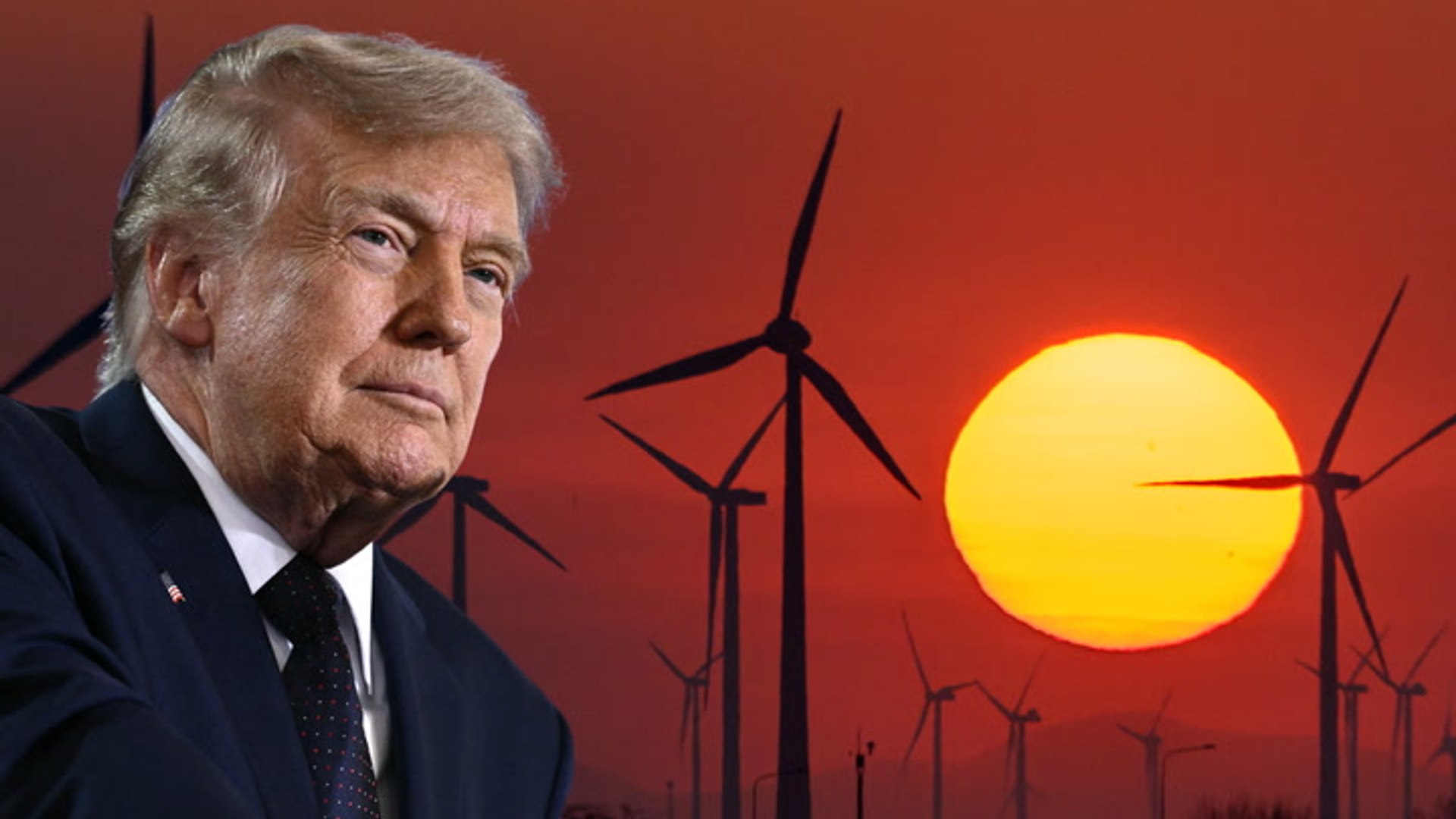 Donald Trump hates wind turbines — but are they really the most ...